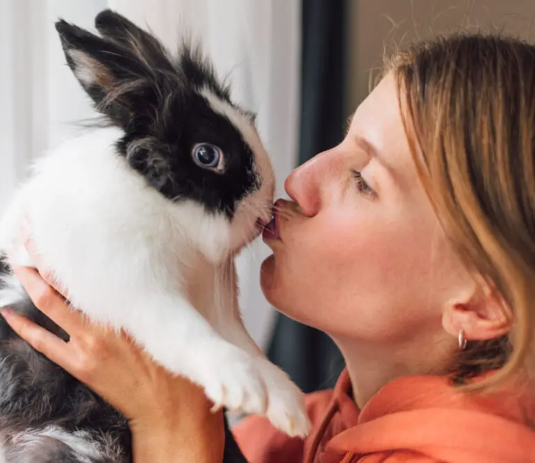 The role of rabbits in education and assisted therapy