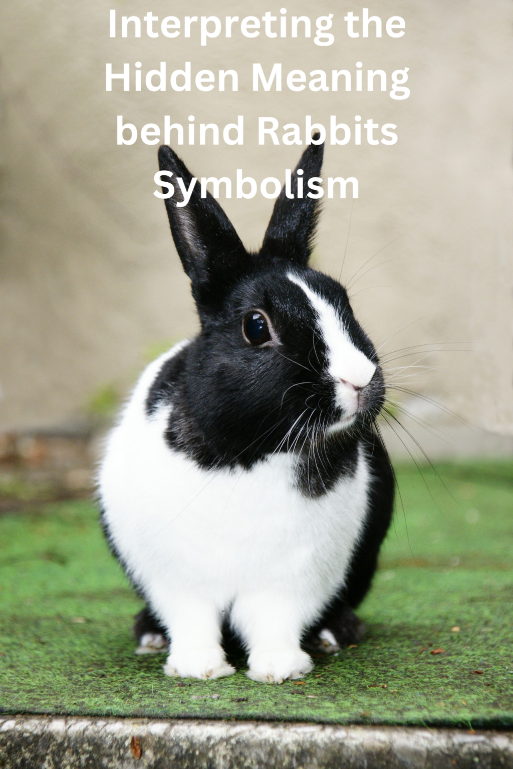 Interpreting the Hidden Meaning behind Rabbits Symbolism