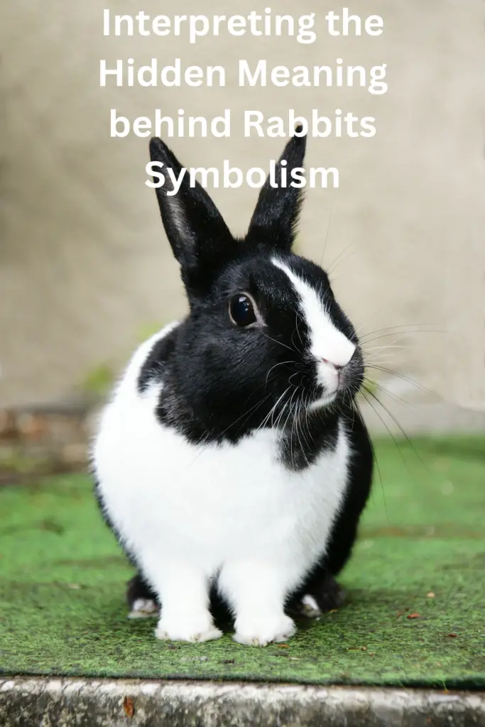 Interpreting the Hidden Meaning behind Rabbits Symbolism